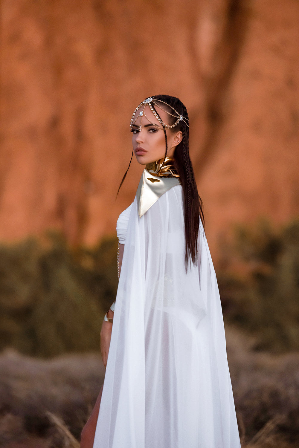 Gold Warrior Costume